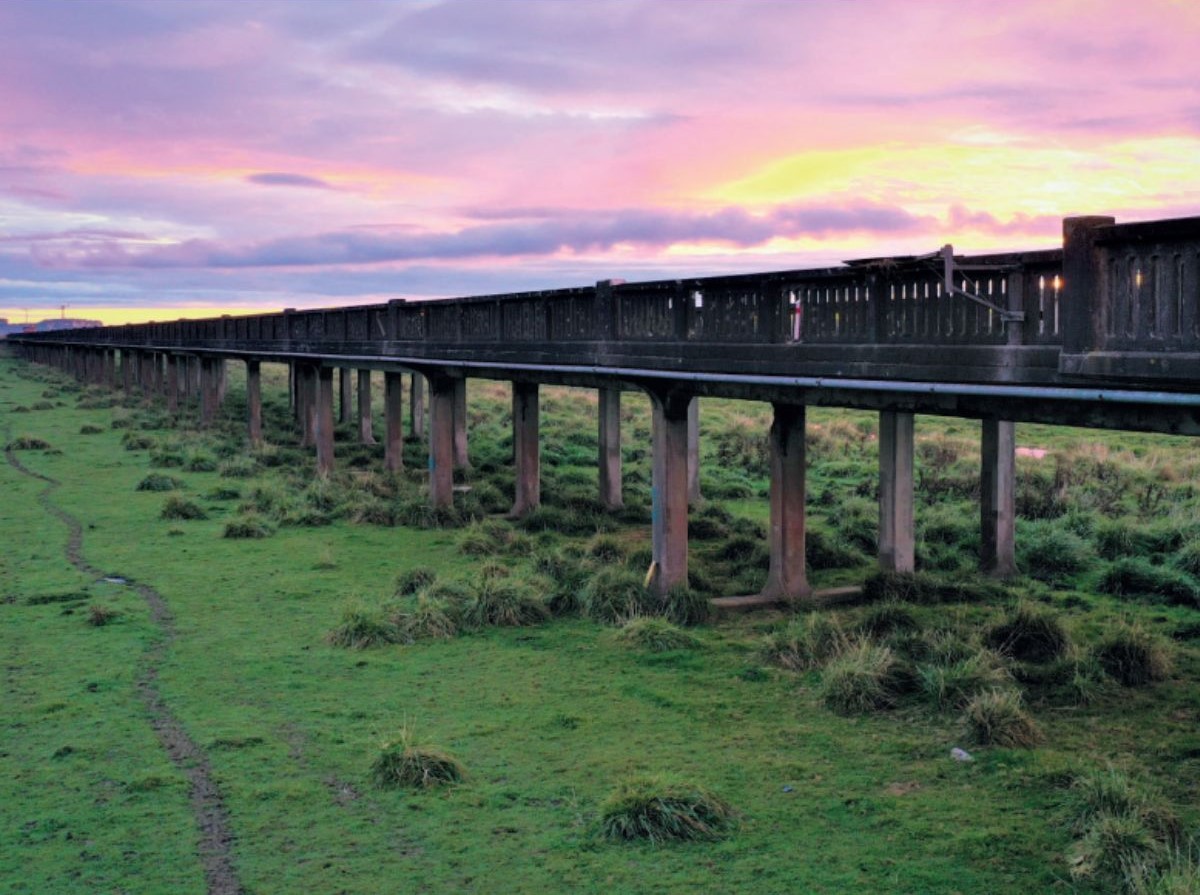 Stronger Bridges - Ursula Cochran Science Writing